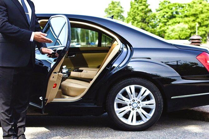 Private Transfer between Shanghai Haichang Ocean Park and City Center - Practical Considerations