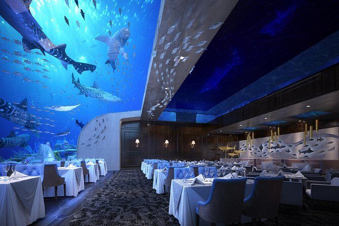 Private Transfer between Shanghai Haichang Ocean Park and City Center - Who Will Appreciate This Experience?