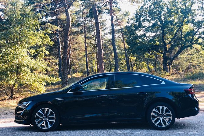 Private Transfer by Car: Marseille Airport From or to Avignon - Host Responses and Customer Engagement