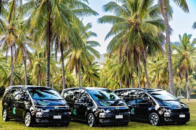 PRIVATE TRANSFER Cairns Airport  Port Douglas Minibus (6am-5pm) - Who Will Find This Transfer Most Valuable?