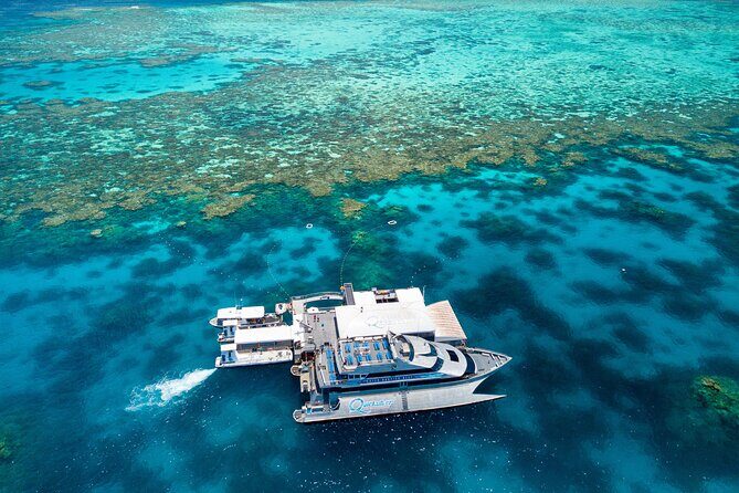 PRIVATE TRANSFER Cairns Airport  Port Douglas Minibus (6am-5pm) - FAQs