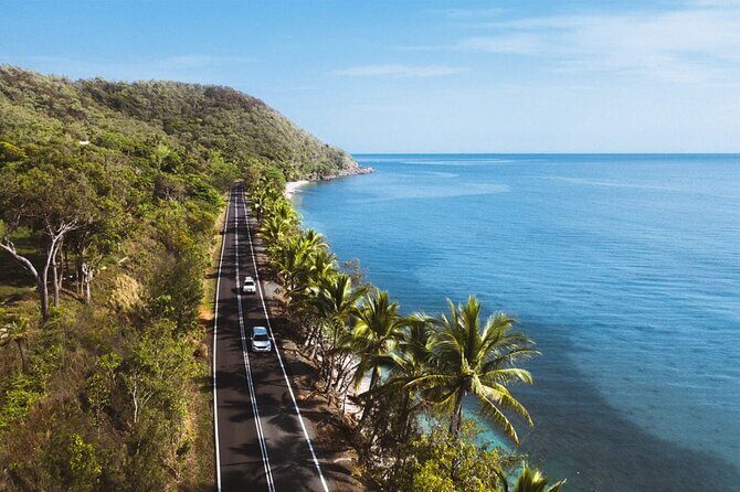 Private Transfer - Cairns Airport to Port Douglas - The Sum Up