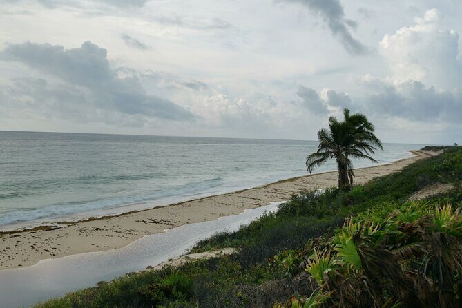 Private Transfer-Cancun Airport-Playa del Carmen One Way - Authentic Experiences & Real Traveler Feedback
