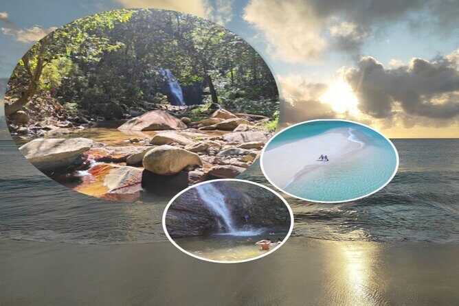 Private Transfer: Coral Coast to Nadi Airport - 1 to 4 Seat Vehicle - Authentic Experiences and Real-World Insights from Reviews