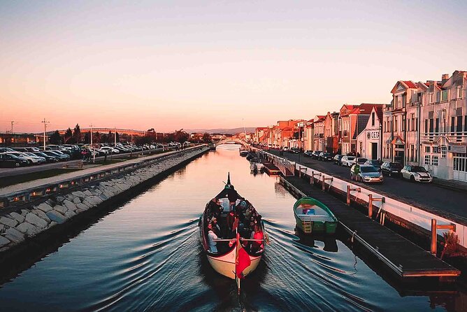 Private Transfer - Day Trip Lisbon - Porto with Tour / Stop - Why You’ll Love It—And What to Keep in Mind