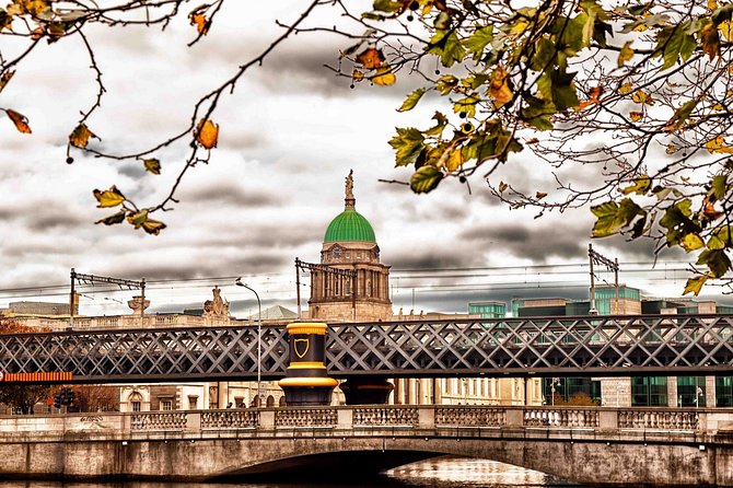 Private Transfer: Dublin Airport DUB to Dublin in Luxury Van - Who Should Consider This Service?