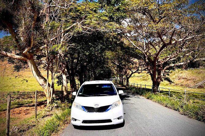 Private Transfer Fajardo or Ceiba to San Juan Airport - The Realities: Benefits and Potential Drawbacks