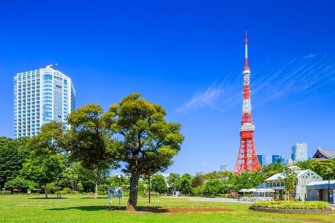 Private Transfer for Custom Day Tour in Tokyo - Key Points