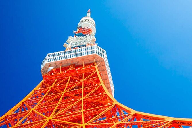 Private Transfer for Custom Day Tour in Tokyo - Accessibility and Participation