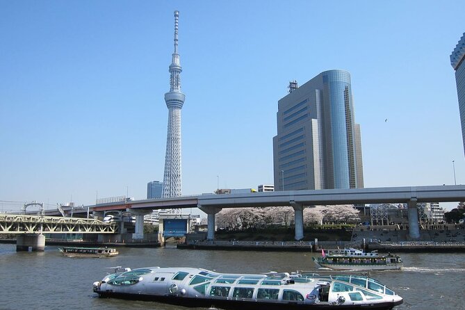 Private Transfer for Custom Day Tour in Tokyo - Customization Options