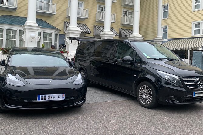 Private Transfer from Airport to Disneyland Paris or Vice Versa - Practical Details and Considerations