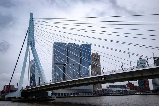 Private Transfer from Amsterdam city center to Rotterdam - Why Choose This Private Transfer?