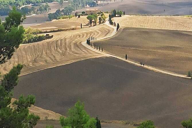 PRIVATE TRANSFER: from Assisi to Florence with stops in Cortona & Montepulciano - Authentic Tuscany, Without the Hassle
