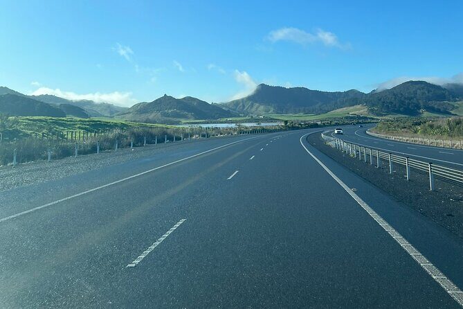 Private Transfer From Auckland Airport To Hamilton - Who Will Appreciate This Service Most?