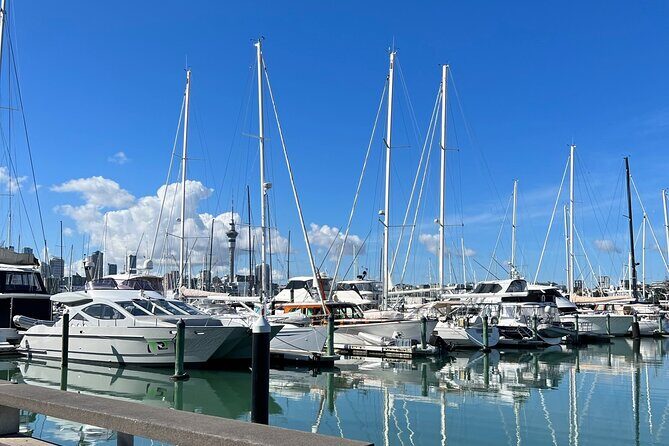 Private Transfer From Auckland Airport To Hibiscus Coast - FAQ