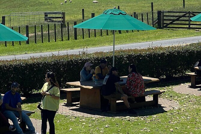 Private Transfer From Auckland Airport To Matamata - Who Is This Service Best For?
