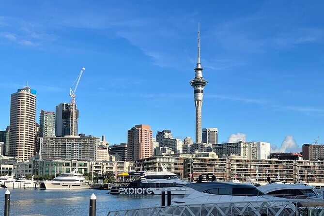 Private Transfer From Auckland City To Auckland Airport - Why Choose This Private Transfer?