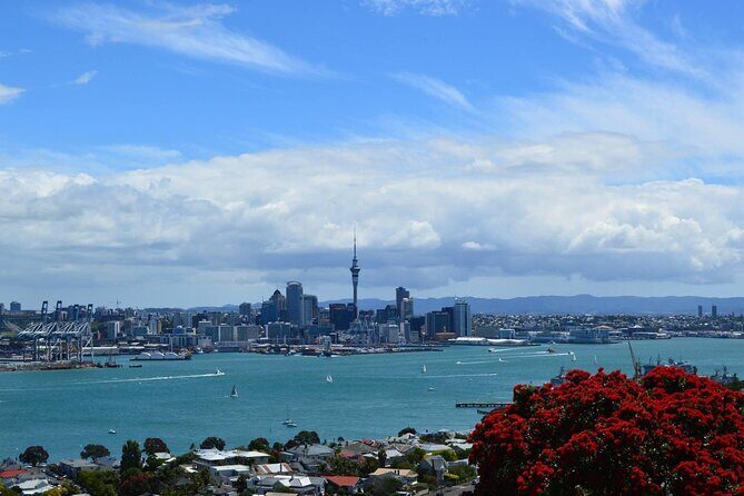 Private Transfer From Auckland City To Auckland Airport - Final Thoughts
