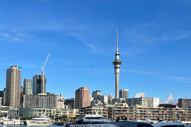 Private Transfer From Auckland Domestic Airport To Auckland City - Who Would Benefit Most?