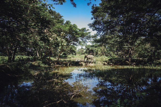 Private Transfer from Bangkok to Chiang Rai with 2h of Sightseeing - The Journey from Bangkok to Chiang Rai: What to Expect