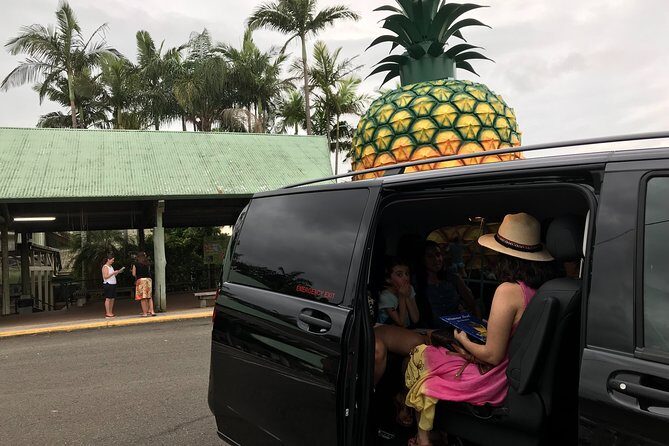 Private Transfer from Brisbane Airport to Noosa for 1 to 7 people/5 medium lugg - The Vehicles and Drivers
