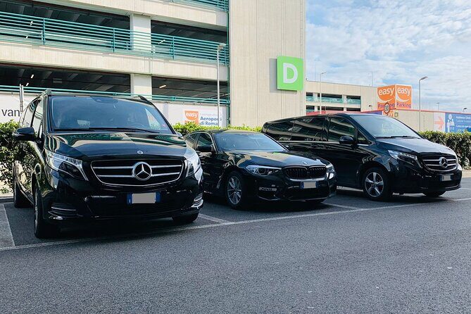 Private Transfer from Brisbane Port to Brisbane Airport (BNE) - Key Points