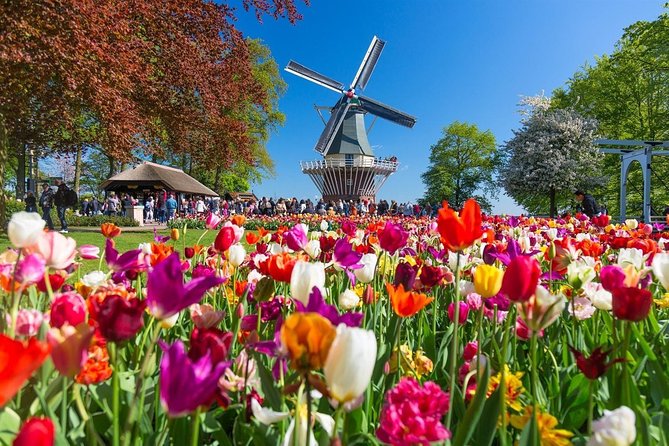 Private Transfer from Brussels to Amsterdam - Key Points