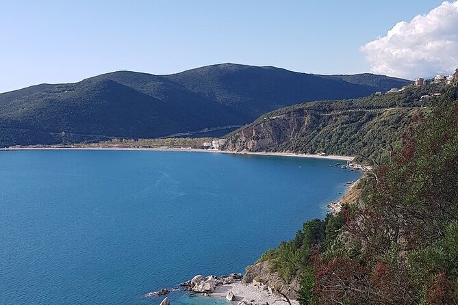 Private Transfer from Budva to Podgorica Airport and city - What travelers say