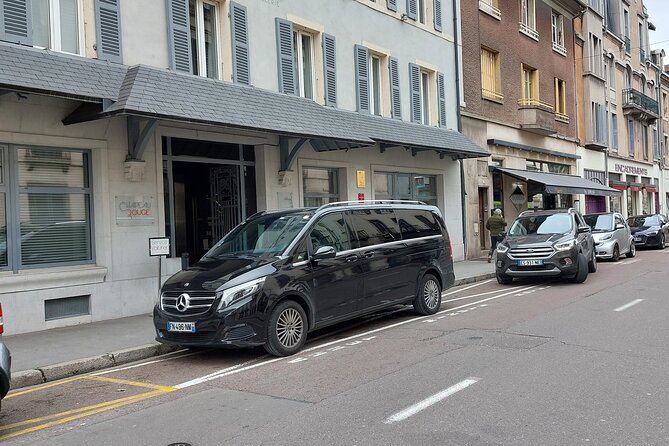 Private Transfer From CDG or ORY Airport to Disneyland Paris - Accessibility and Amenities