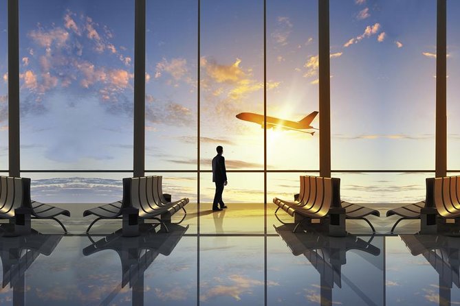 Private Transfer From Charles De Gaulle Airport to Paris: Premium Service - Accessibility and Participation