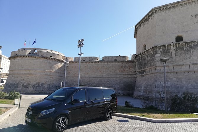 Private Transfer From Civitavecchia Port to Fiumicino Airport (FCO) - Meeting and Pickup Process at Civitavecchia Cruise Terminal