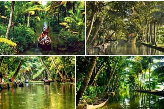 Private Transfer from Cochin to Marari: Relaxed & Convenient Ride - What Makes This Transfer Special?