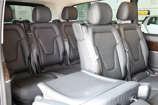 Private Transfer From Cruise Port to Barcelona Airport or Hotel - Accessibility and Additional Features