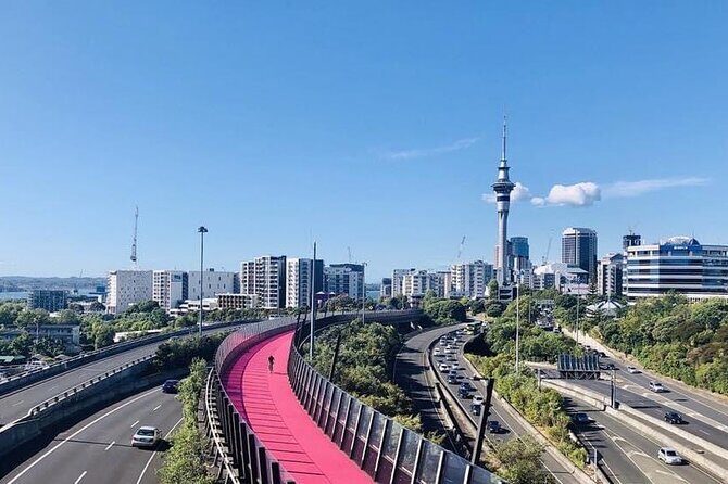 Private Transfer From Cruise Ships To Auckland Airport - The Value Proposition: Paying for Peace of Mind