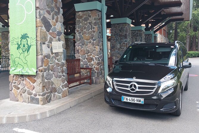 Private transfer from DisneyLand Paris to CDG or ORY airport - The Experience Itself: What to Expect