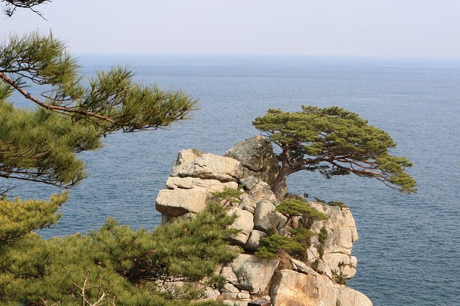 Private Transfer From Dubrovnik to Split With 2 Hours for Sightseeing - Attraction: Klis Fortress