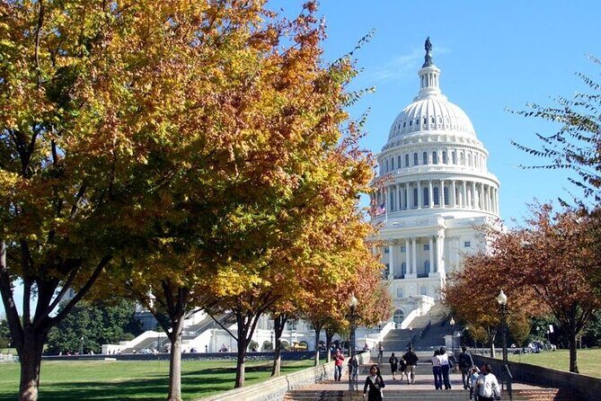 Private Transfer from Dulles Intl Airport to Washington DC - Practical Tips to Maximize Your Experience