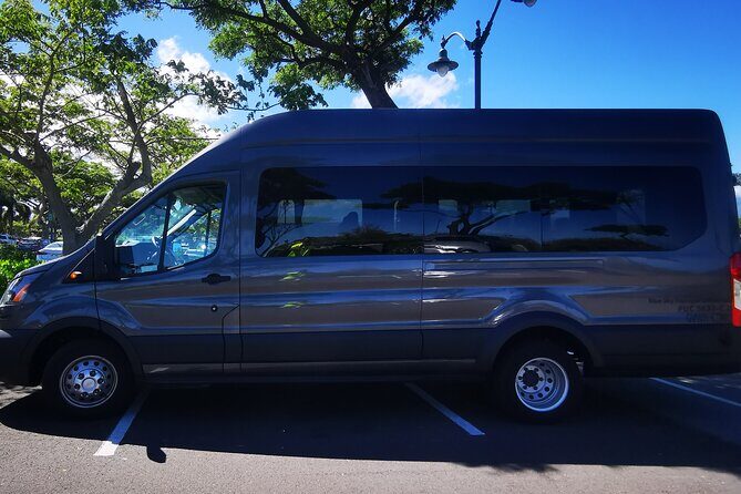 Private Transfer From Hotels in Waikoloa & Waimea to Kona International Airport - The Big Island Context — Why This Transfer Matters