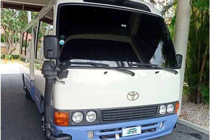 Private Transfer from Hotels to Punta Cana Airport - Who Should Consider This Service?