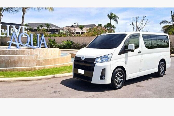 Private Transfer from Hotels to Punta Cana Airport - Final Thoughts: Who Will Appreciate This Service?