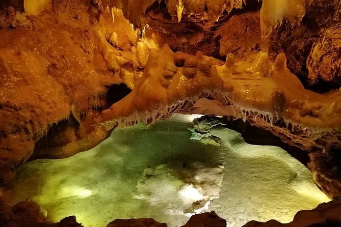 Private Transfer From Lisbon to Porto With Sightseeing Tour - Reviews and Testimonials