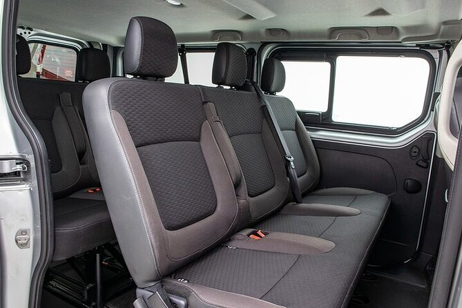 Private Transfer from Lourdes Airport LDE to Lourdes City by Van - Introduction