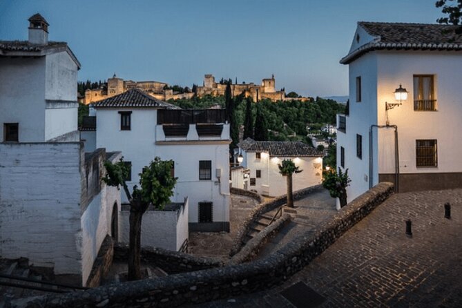Private transfer from Málaga Hotels to Granada - What You Can Expect During Your Journey