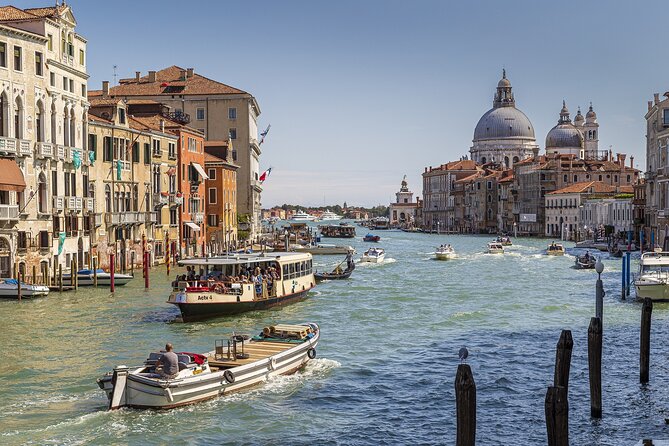 Private Transfer From Milan to Venice with English Speaking Driver - The Vehicle and Comfort