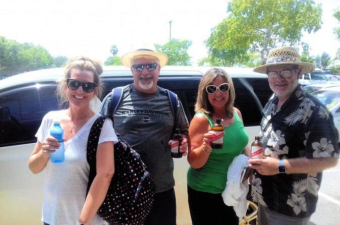 Private Transfer from Montego Bay Airport to Hilton Rose Hall - Starting Your Journey: What to Expect