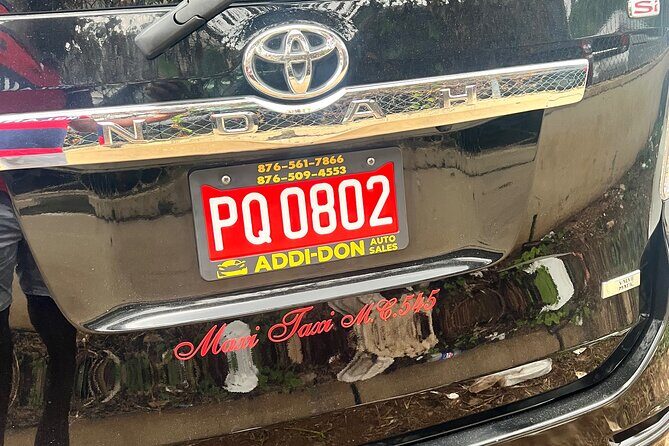 Private Transfer From Montego Bay Airport to Hotel in Montego Bay - Who Is This Service Best Suited For?