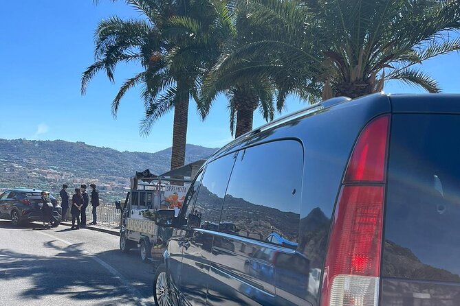 Private Transfer from Naples to Pompeii or vice versa - What You Can Expect During the Journey