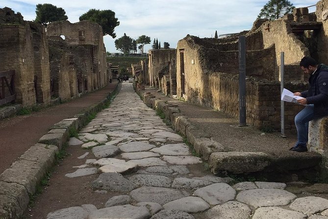 Private Transfer From Naples to Positano or Viceversa Including 2 Hrs Stop in Pompeii - Customer Feedback and Praise