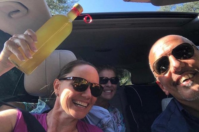 Private Transfer From Naples to Sorrento or From Sorrento to Naples - Recommendations for Travelers