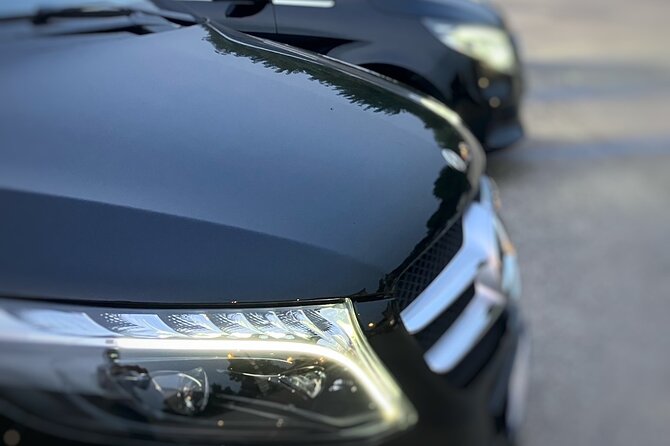 Private transfer from Napoli to Sorrento with stopover in Pompeii ruins - The Experience in Detail